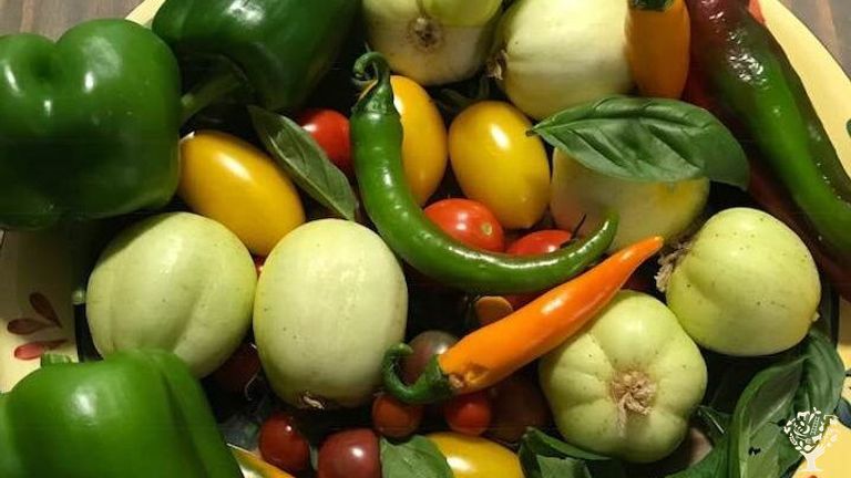 Community farm - WWOOF Canada