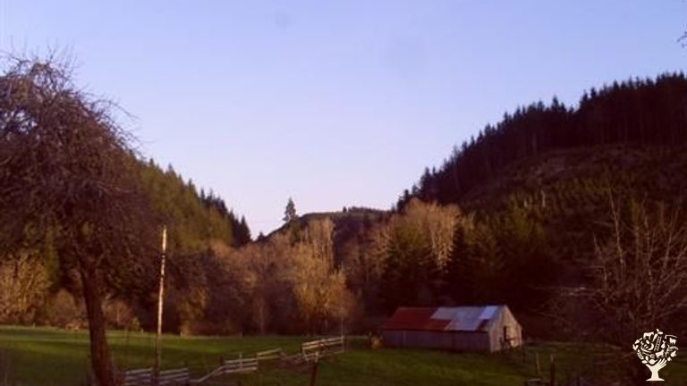 Rustic farm using progressive, no till vegetable growing , and ...