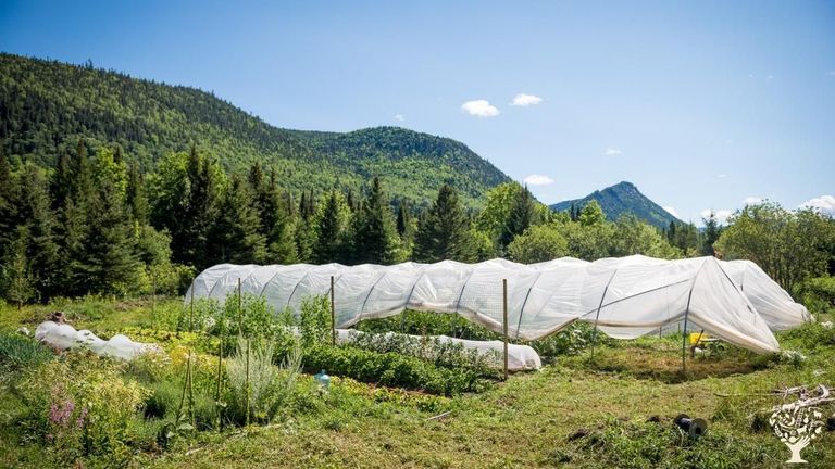 Hosts - WWOOF Canada