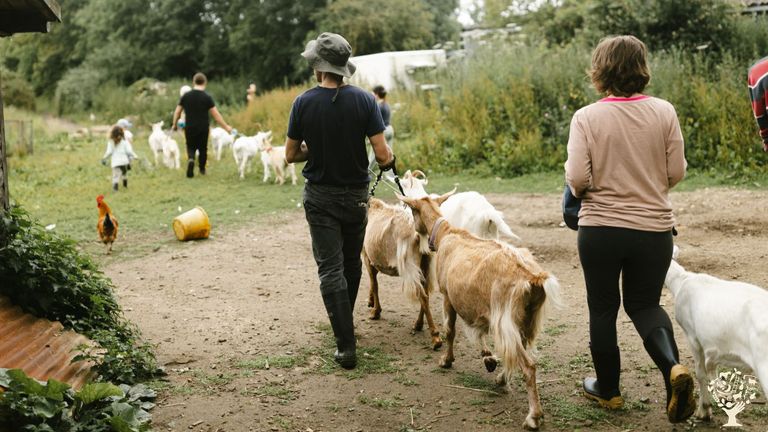Farm - WWOOF UK