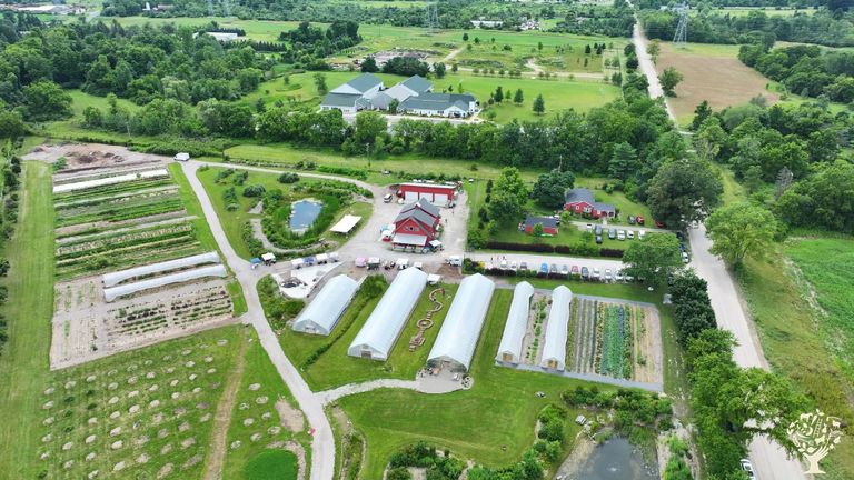 Real Organic Permaculture Food Forest Farm in Michigan Countryside ...