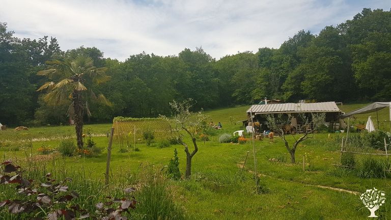 Culture d'osier et vannerie en pleine nature (campagne limitrophe ...