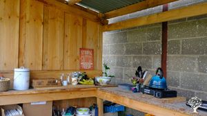 No-dig organic market garden and greener campsite - WWOOF UK