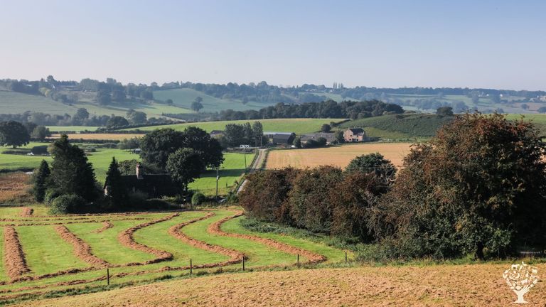 Community Care Farm in North Yorkshire - WWOOF UK