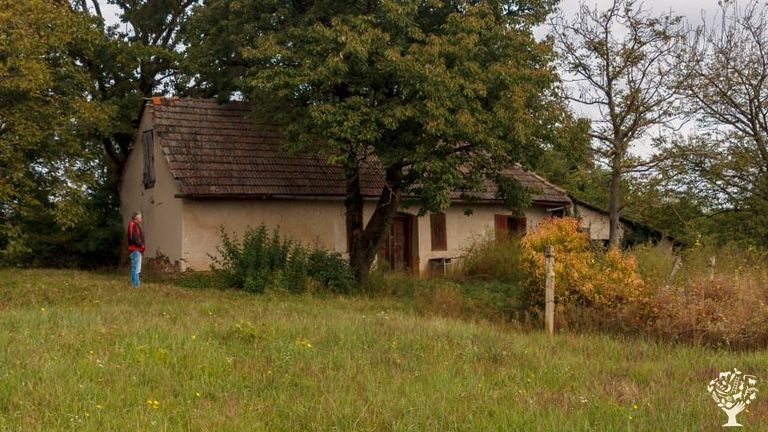 Hobby Farm, Vineyard, Orchard, Farm - WWOOF Independents