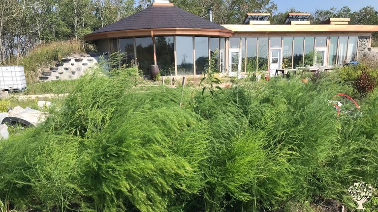 Biodynamic vegetable farm and earth ship - WWOOF Canada