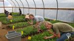 Diversified production farm situated in foothills of Cascade Mountains ...