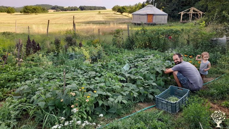 Permacultural farm in the countryside of central Slovakia - WWOOF ...