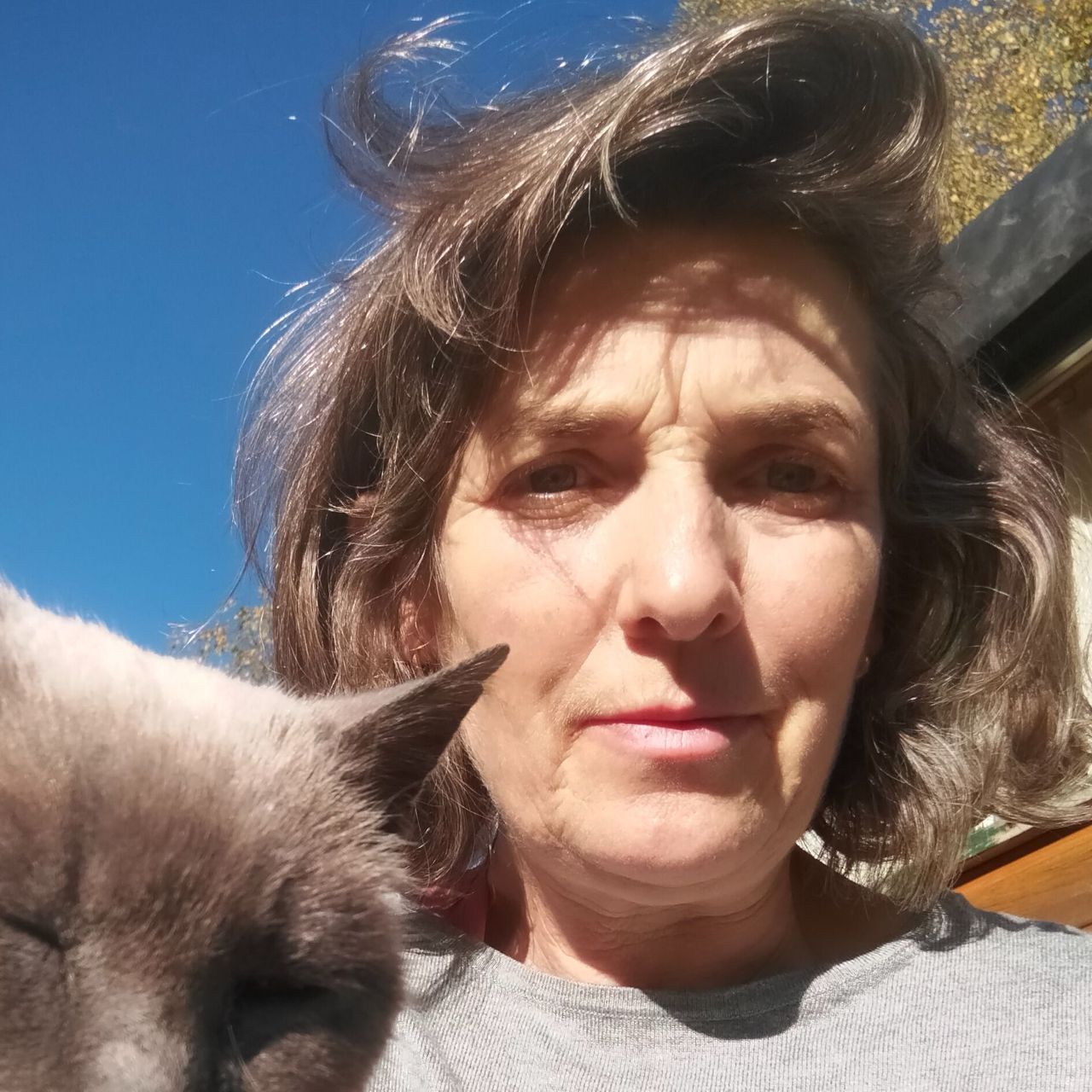 Live and Learn on Organic Farms - WWOOF France