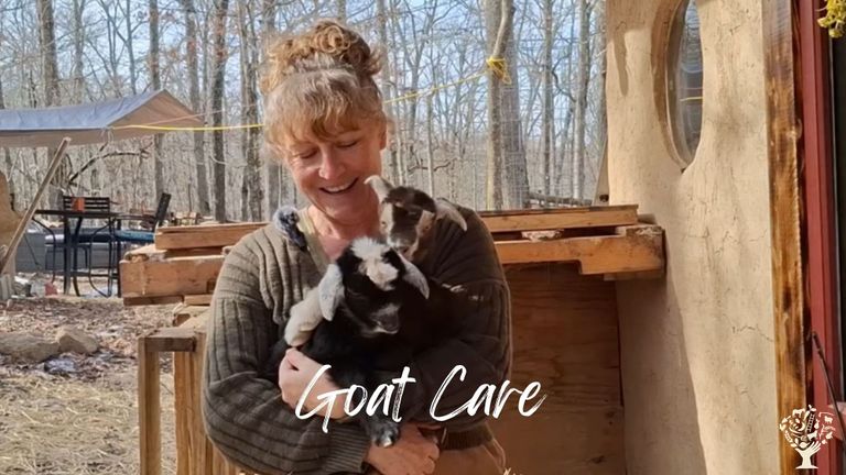 Small Homestead in the St. Francios Mountains of Missouri - WWOOF USA