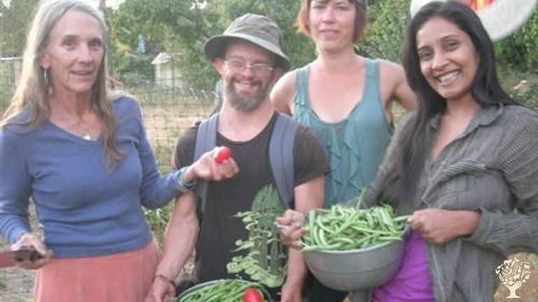 Grass fed beef, vegetables and fruit trees in the fantastic Mattole ...