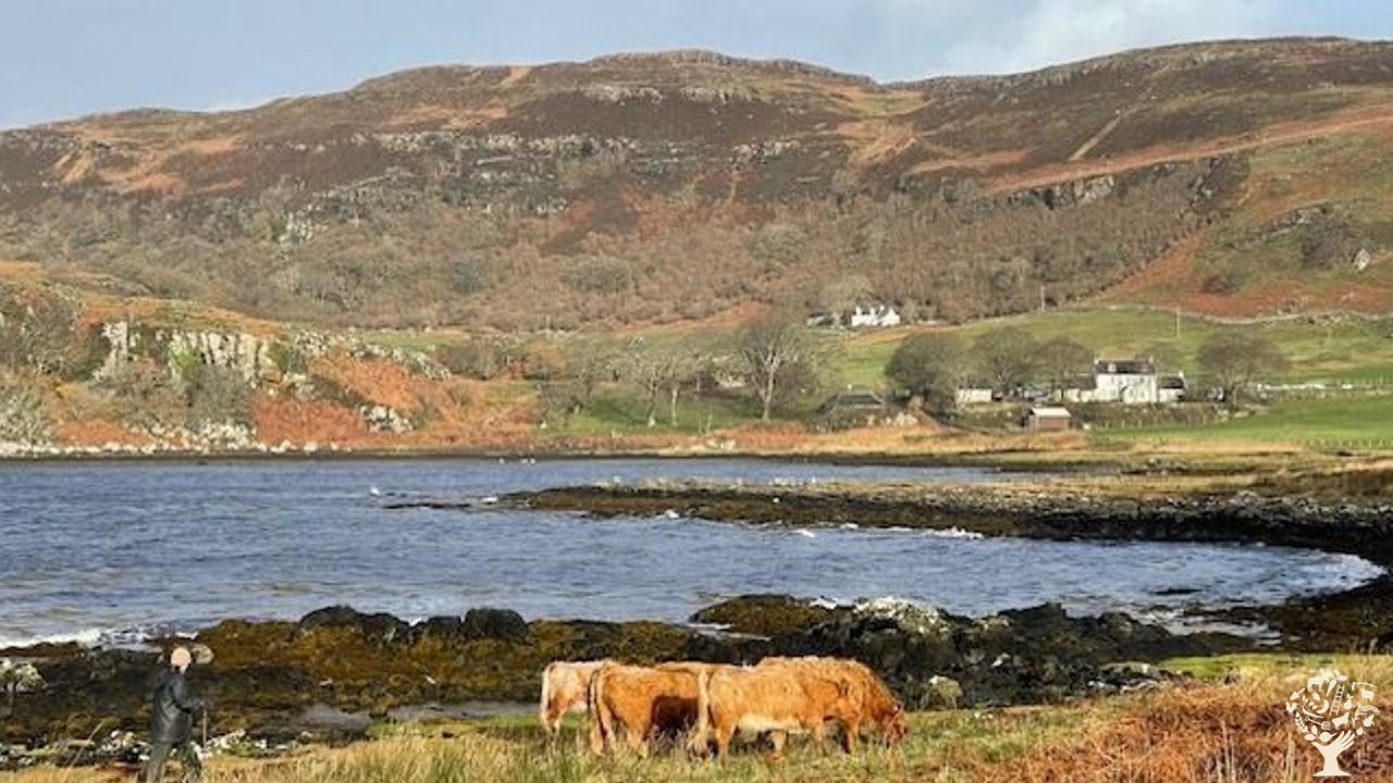 Farm - WWOOF UK