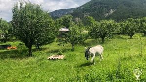 Potager, verger, ruche - WWOOF France