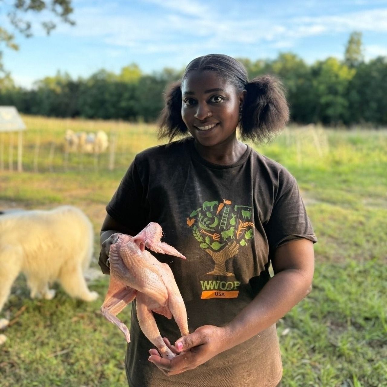 Vivre et apprendre dans des fermes bio et paysannes - WWOOF USA