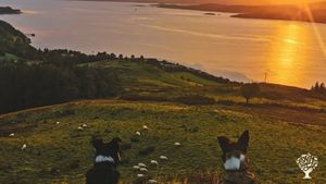 Evanachan Farm - WWOOF UK