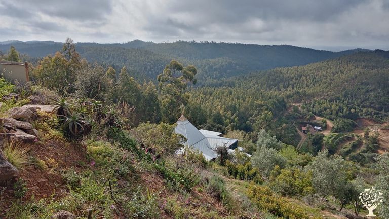 Small 6 hec Lemon Farm in the hills of Monchique (Marmelete). It has ...