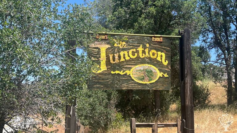 New farm, restaurant and campground near the San Francisco Bay - WWOOF USA