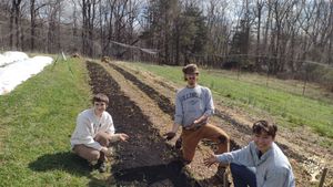 Community-minded regenerative farm in the foothills of the Blue Ridge ...