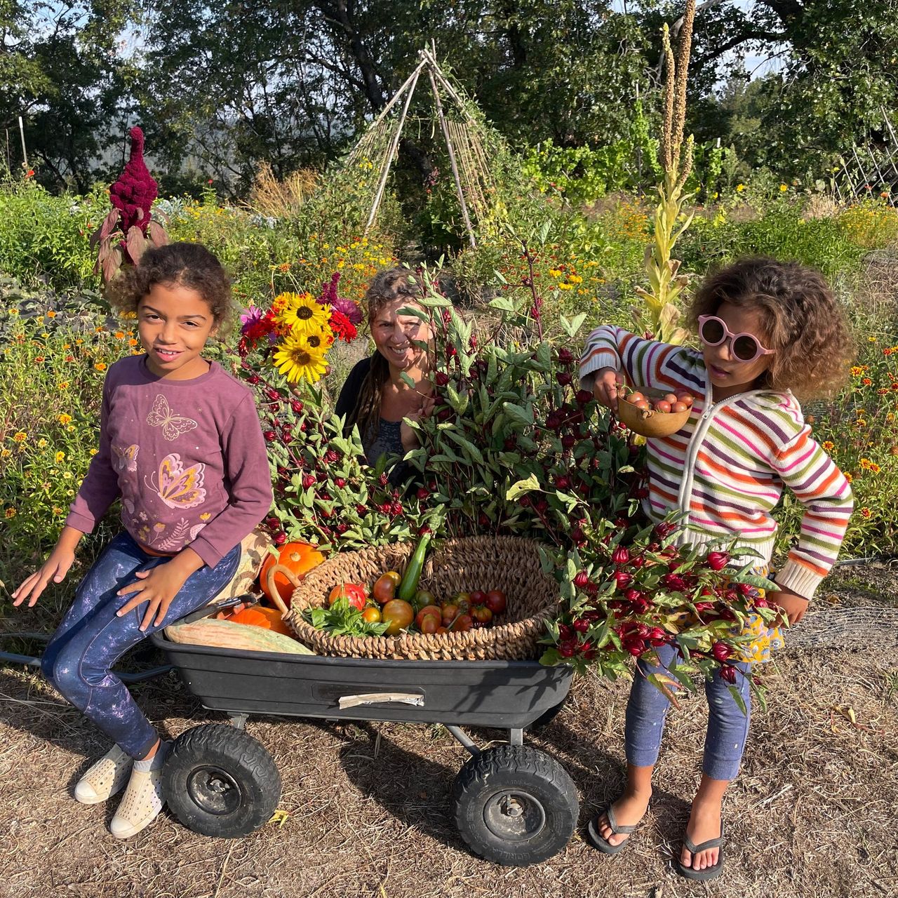Beautiful organic family farm in the Sierra foothills near Grass Valley ...