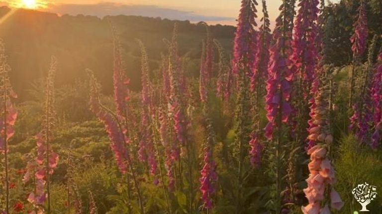 Smallholding - WWOOF UK