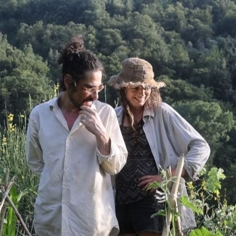 Offgrid project growing towards self-sufficiency and sustainability ...