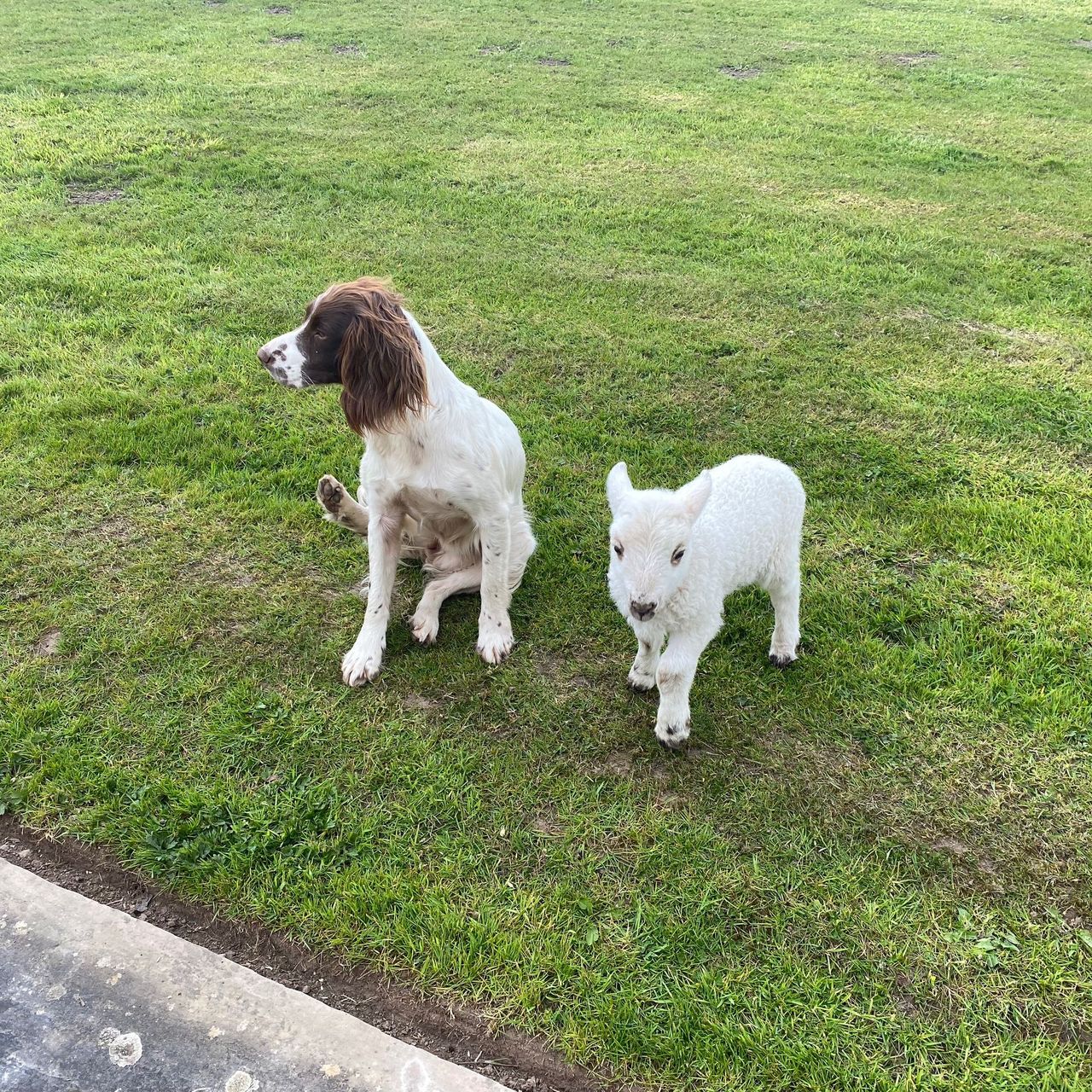 Farm - WWOOF UK