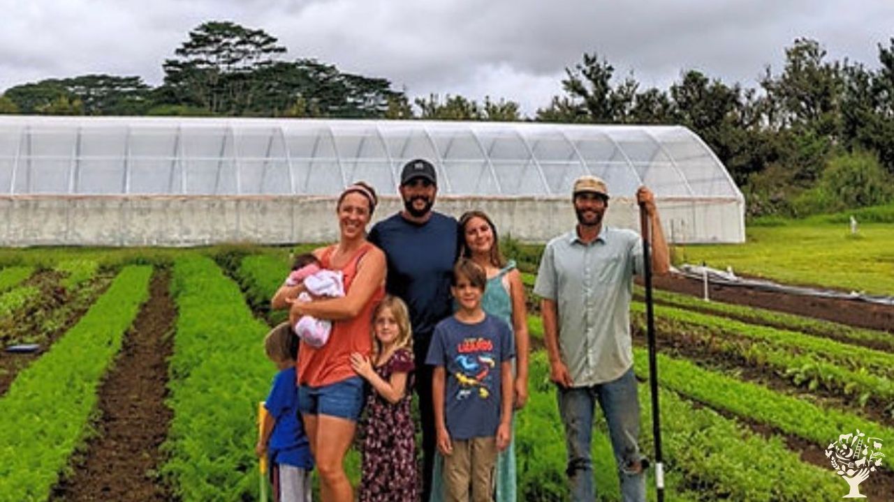 23-acre organically grown working vegetable farm near Hilo, farming to ...
