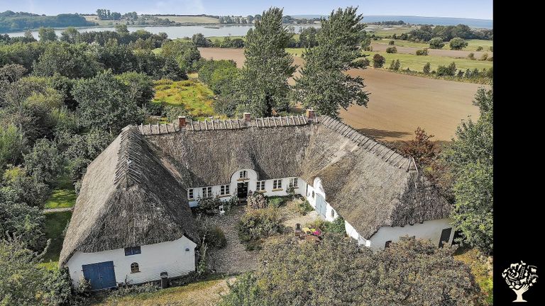 Organic Farm with Market Garden, Orchard and Vineyard on Ærø - WWOOF ...