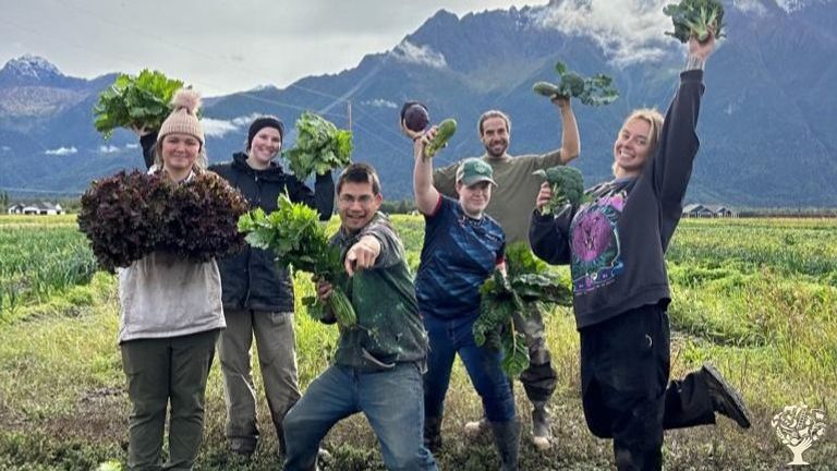 Organic vegetable farm in the matanuska valley - WWOOF USA