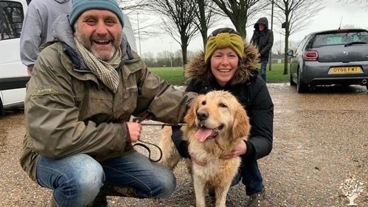 A small holding where we grow our own fruit and vegetables, and keep ...