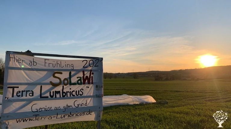 Gemüse-SoLawi mit Ackerbau und Schafhaltung - WWOOF Deutschland