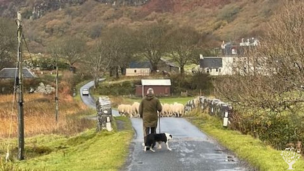 Farm - WWOOF UK