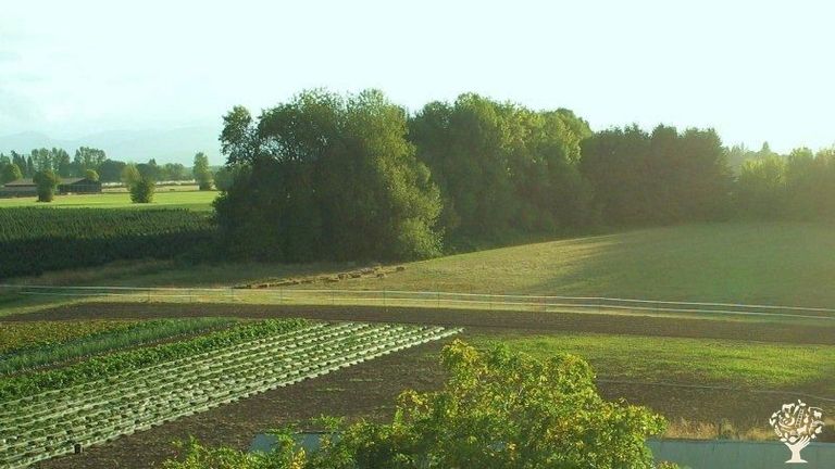Beautiful 17-acre farm near Corvallis, OR 🍓🍓🍓 - WWOOF USA