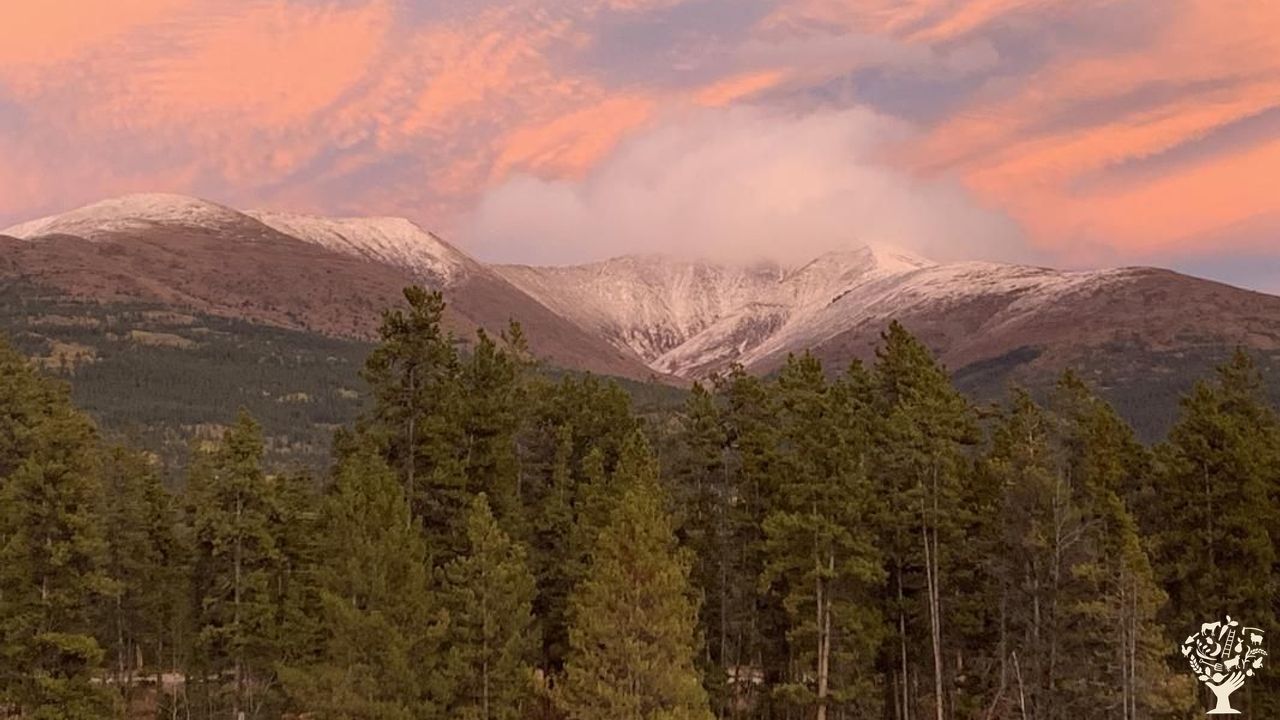 Hosts - WWOOF Canada