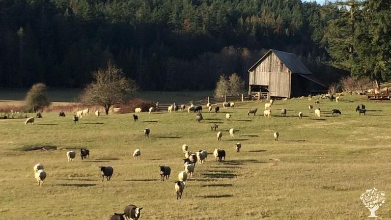 Family farm - WWOOF Canada