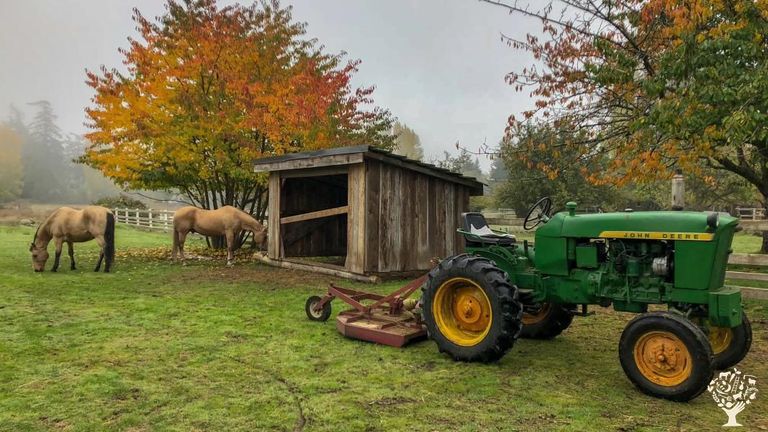 Farm - WWOOF Canada