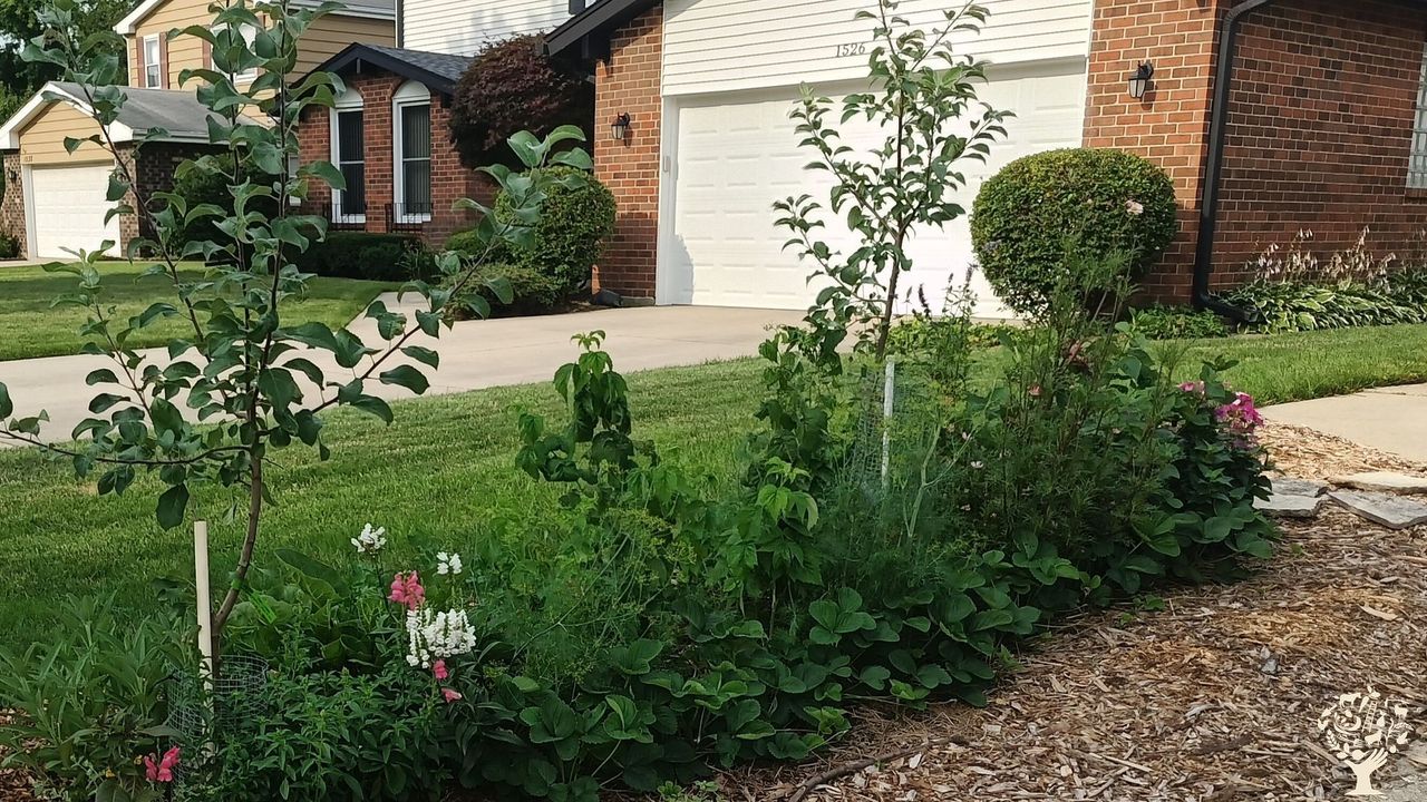 A unique WWOOF experience: Suburban, woman-operated food forest outside ...