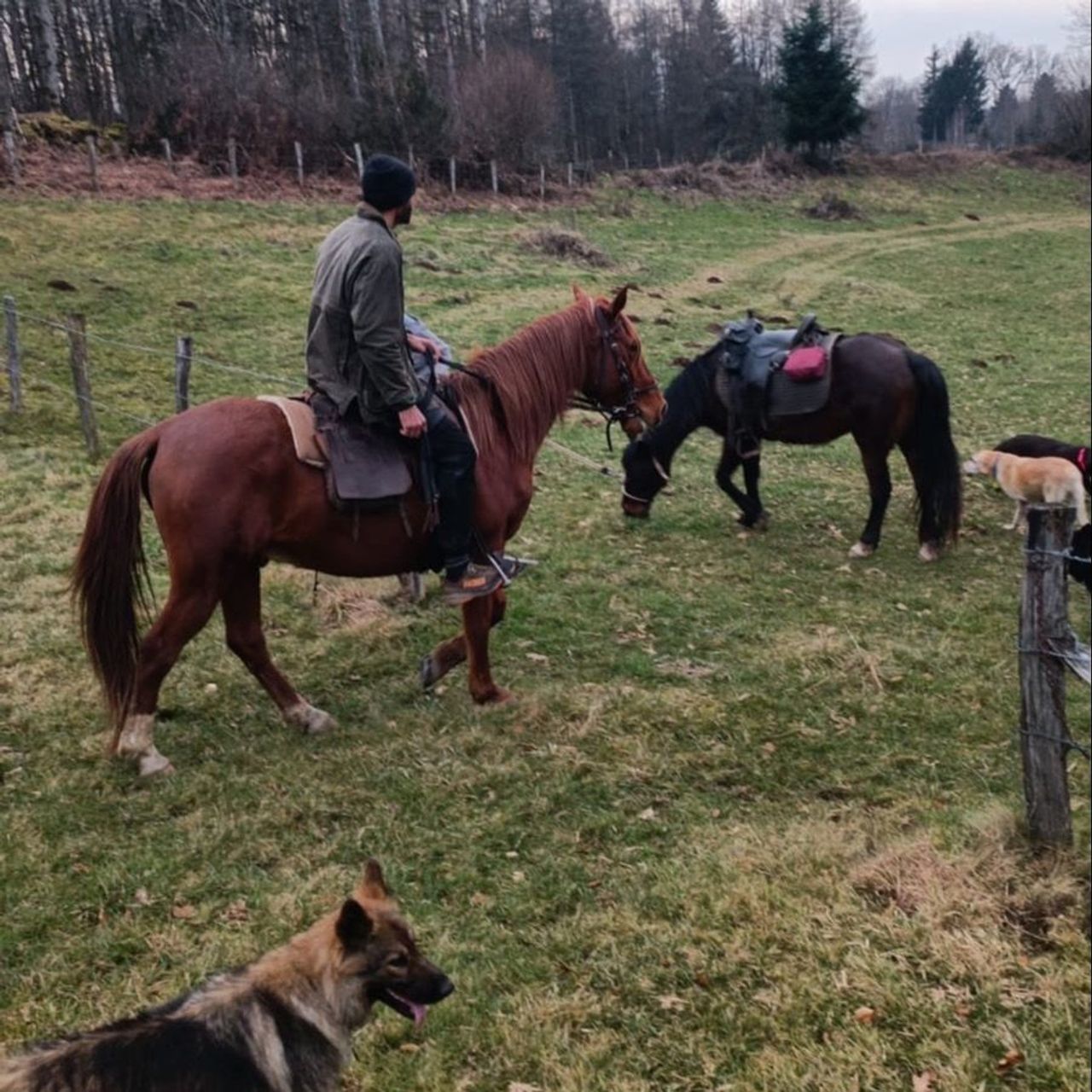 Live and Learn on Organic Farms - WWOOF Spain