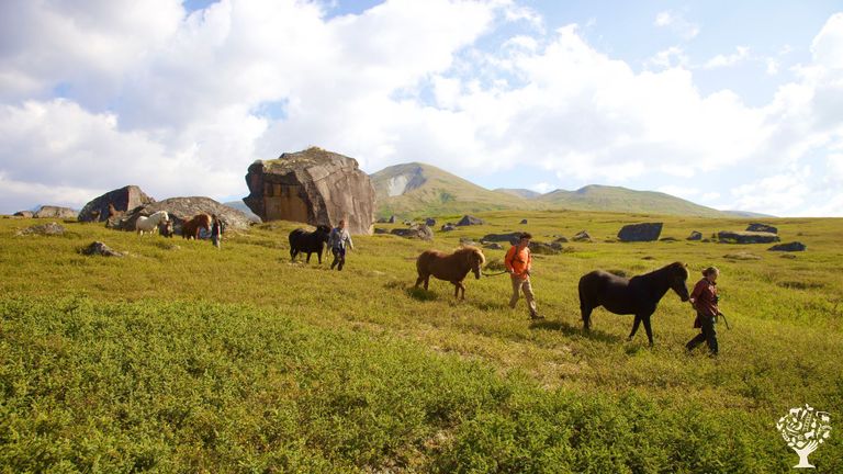 Remote Alaskan horse ranch & veg farm surrounded by wilderness - WWOOF USA