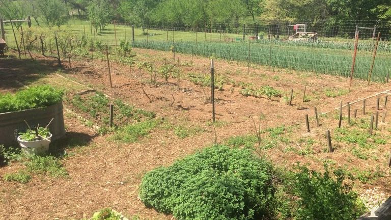 Small family farm located just outside of Clarksville in the Arkansas ...