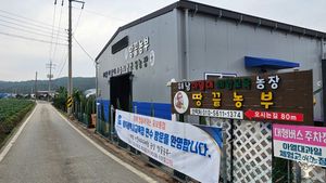 친환경 과수 교육농장 / Eco-friendly Fruit Farming Education Center - WWOOF Korea