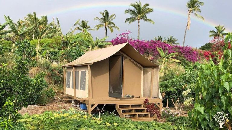 10 acre farm and fruit orchard on the south side of Maui Hawaii - WWOOF USA