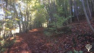 Farm - WWOOF UK