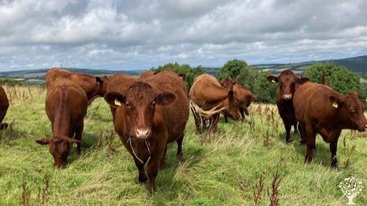 Farm - WWOOF UK