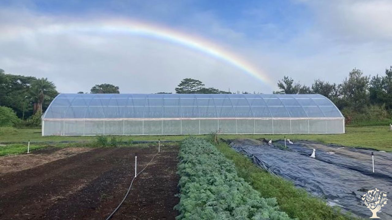 23-acre organically grown working vegetable farm near Hilo, farming to ...