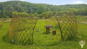 Culture d'osier et vannerie en pleine nature (campagne limitrophe ...