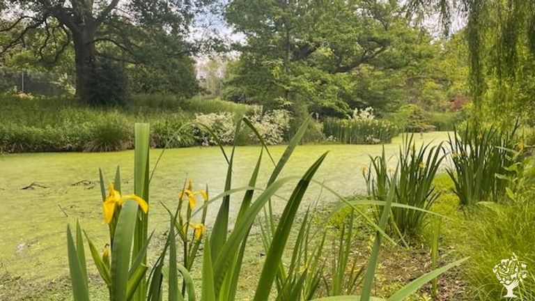 Creators of natural work environments for well being, A NATURAL ...