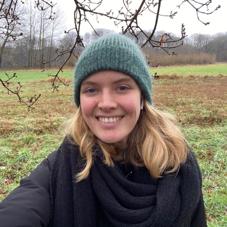 Live and Learn on Organic Farms - WWOOF Spain