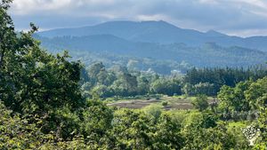 Horses & Reganerative Apple orchard - WWOOF Portugal