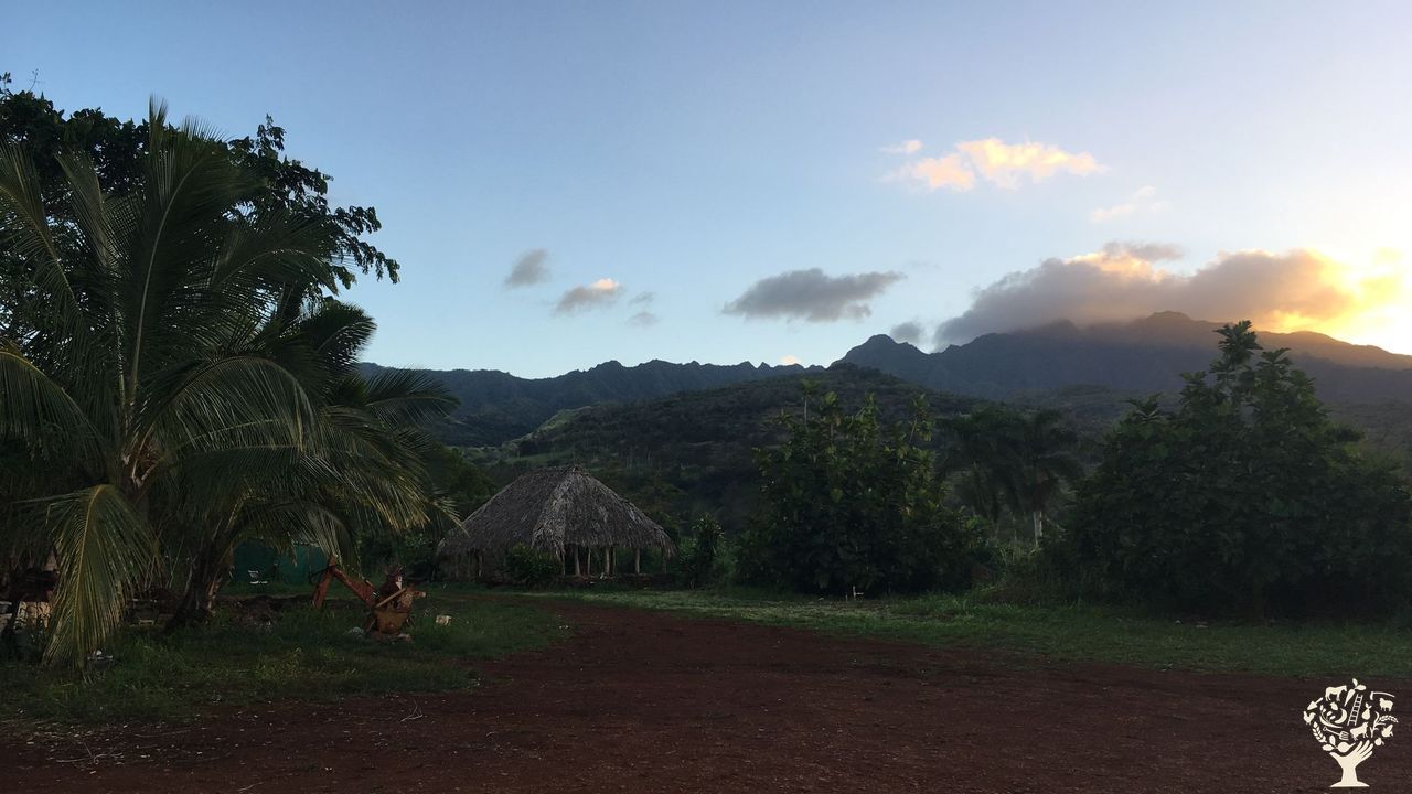 Production farm with mission to foster healthy communities in Hawaii ...